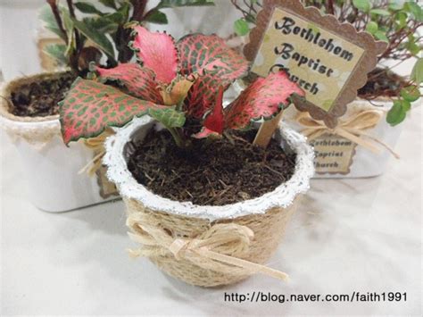 재활용리폼화분만들기화분심기인테리어diy예쁜 소품만들기핸드메이드수제화분집안 꾸미기집 베란다 꾸미기바자회 네이버 블로그