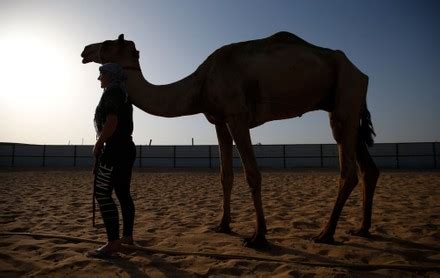 Arabian Desert Stock Pictures Editorial Images And Stock Photos Shutterstock Editorial