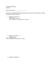 Calculating BMI Practice Problems With Solutions Course Hero