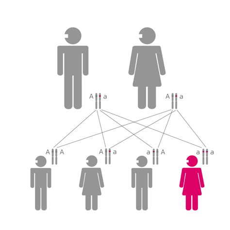 Autosomal Recessive Inheritance Health In Code