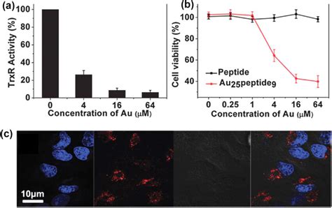 A Trxr1 Activity Is Suppressed In A Dose Dependent Manner When