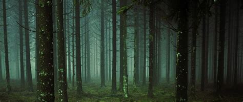 Python Package Structure Dead Simple Python Project Structure And Imports Dev Community