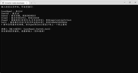 beta设置文件名为 userName twtId ori 时提示存在错误的变量名 Issue mengzonefire twitter media