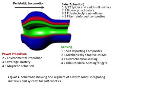 Soft Robotics Inspired By Worm Locomotion Bio Inspired Pire