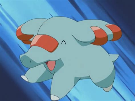 File Ash Phanpy Png Bulbapedia The Community Driven Pokémon Encyclopedia