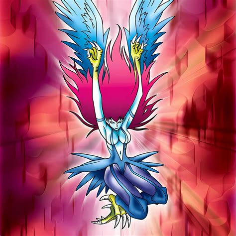 Harpie Lady 1 Lady Harpy Yu Gi Oh Duel Monsters Wallpaper By