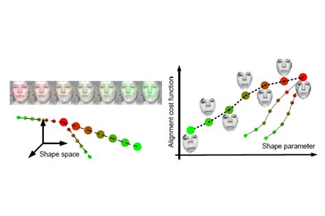 Face Recognition Vision And Learning Group