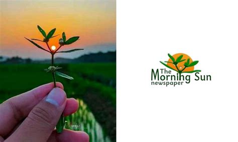 Shrabon Datta On Linkedin Looking Logo Need Design Graphic Logodesign Graphicdesigner