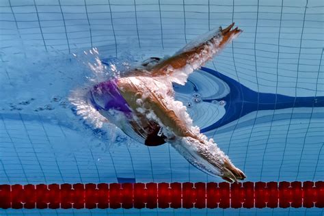 Las Mejores 14 Fotos De Una Nueva Jornada Del Mundial De Natación Infobae