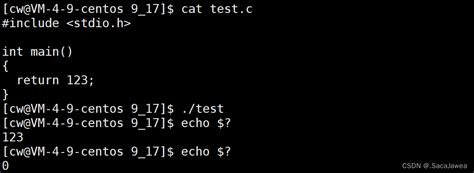 linux 进程理解 进程的终止，等待与替换 exec系列函数 环境变量的介绍与使用 exec等待 csdn博客