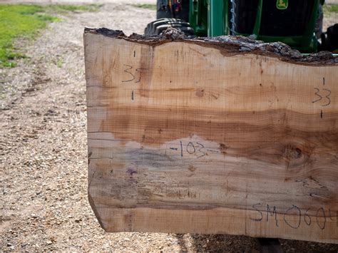 Sugar Maple Sm070122 1 — Hillside Timber