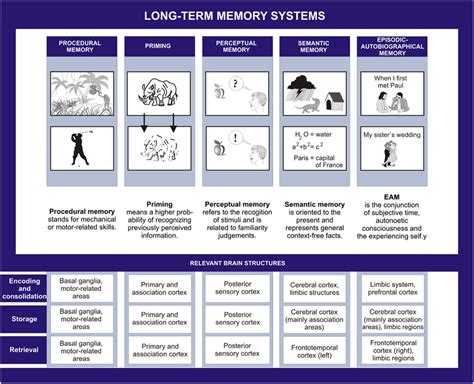 Memory Brain Based Learning