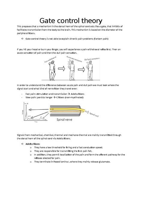 Gate Control Theory Handige Notities Filmpje Gate Control Theory