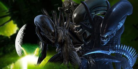 The Best Xenomorph Designs In The Alien Series