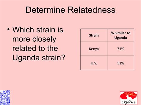 Power Point Presentation On Microbial Genetics 2 Ppt