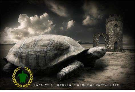 Ancient And Honorable Order Of Turtles Inc
