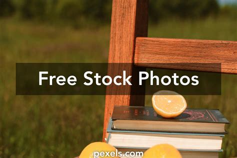 Half Green Tree Half Deadtree Photos Download The Best Free Half Green Tree Half Deadtree Stock