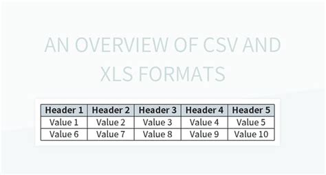 An Overview Of CSV And XLS Formats Excel Template And Google Sheets File For Free Download
