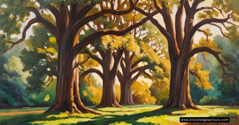 Powerful Tree Metaphors Nature S Life Lessons