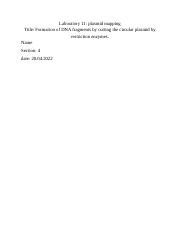 Understanding Plasmid Mapping Techniques And Analysis Course Hero