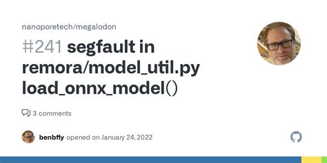 Segfault In Remoramodelutilpy Loadonnxmodel · Issue 241