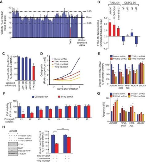 Tyk2 Stat1 Bcl2 Pathway Dependence In T Cell Acute Lymphoblastic Leukemia Cancer Discovery