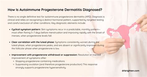 Autoimmune Progesterone Dermatitis Causes And Foods To Avoid