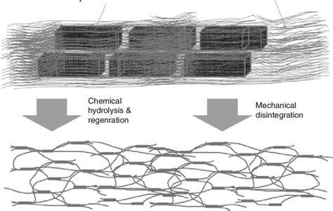 2 Schematic Representation Of Microfibrillated Cellulose Extraction