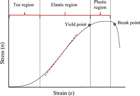 Soft Tissue Deformation Analysis Image Systems