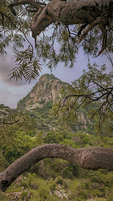 Chalcatzingo Morelos A Hidden Gem In Mexico Zona Arqueologica
