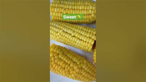 Yummy Corn Youtube