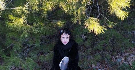 В лесу Пикабу