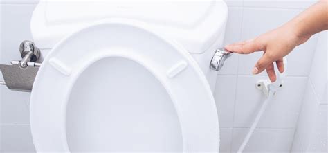 Premium Photo Cropped Hand Of Person Flushing Toilet In Bathroom