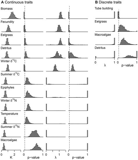 Relative Phylogenetic Signal In A Continuous And B Discrete Download Scientific Diagram
