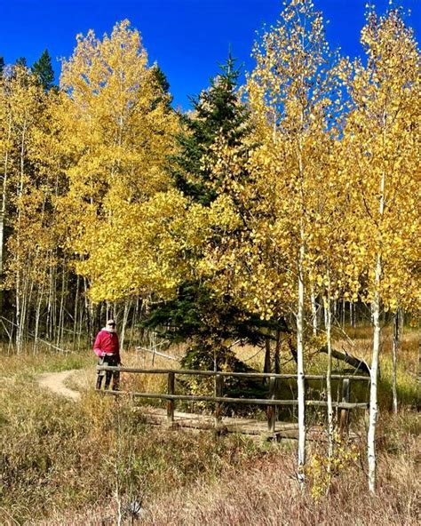 Fall Foliage Hikes In Golden Co Hiking Trails And State Parks