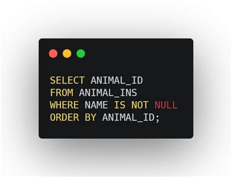 MySQL 프로그래머스 IS NULL