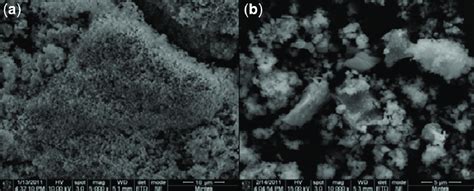 Sem Micrographs Depicting A Mwcnt Ni At A Magnification Of 10 µm And