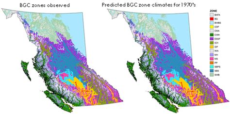 Climatebc And Bioclimatic Envelope Modelling Cfcg