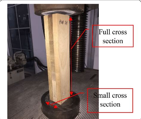 Compression Parallel To The Grain Test Arrangement Length Of The Full Download Scientific
