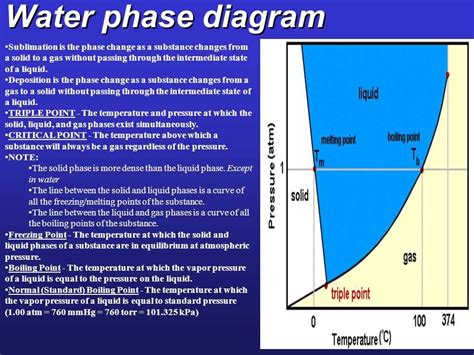 The Science Behind Freeze Drying Unlocking The Secrets Of The Phase