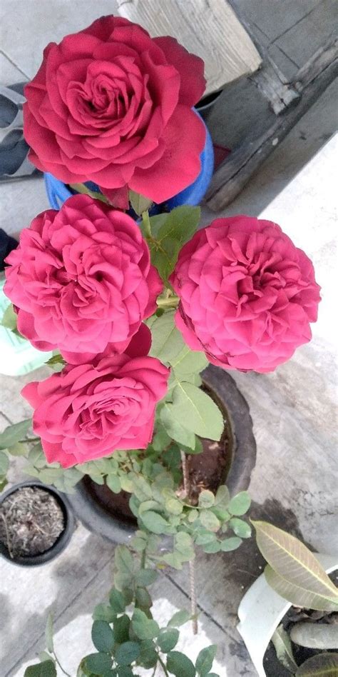 Akshay Birajdar On Linkedin Results