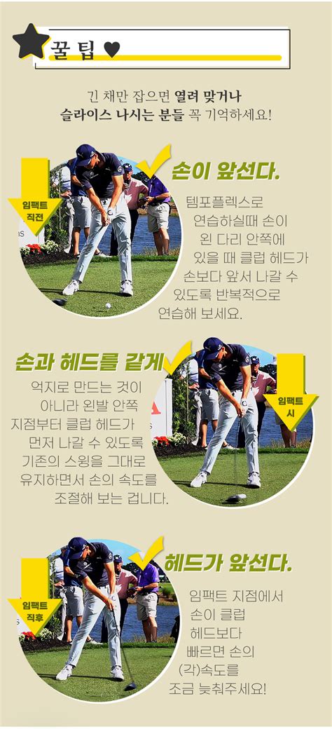 템포플렉스 골프스윙연습기 스윙연습기 실내 레슨 비거리 장타 자세교정 연습 용품