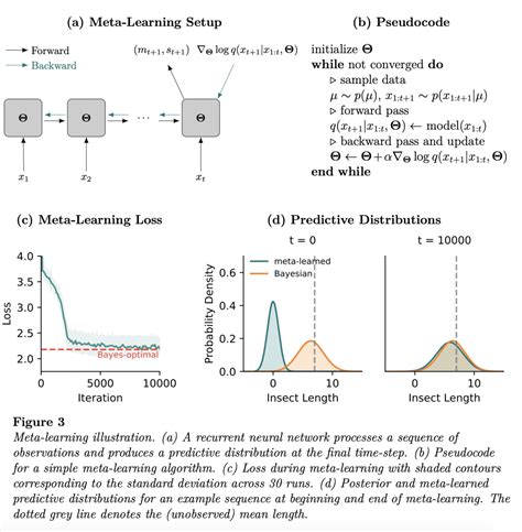 Deepmind｜认知的元学习模型 智源社区