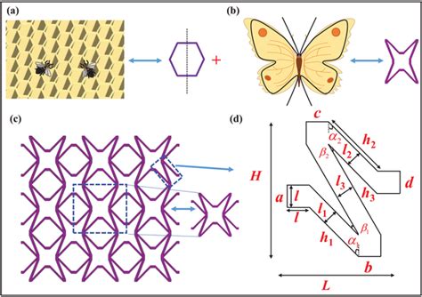 A Honeycomb Diagram And Unit‐cell Structure B Butterfly Diagram And
