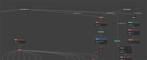 suspicious extra node with opset 13 · issue 1543 · onnx tensorflow