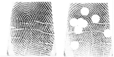 Example Of Occlusions In Fingerprints Clear Vs Occluded Fingerprint