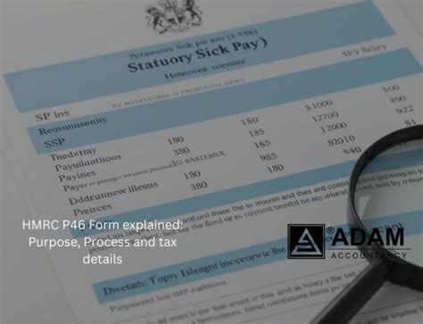 Eis1 Form Overview And Submission Guidelines