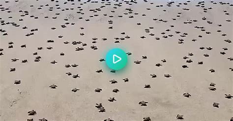 Life Cycle… Album On Imgur