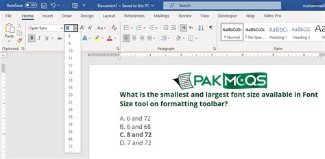 ms word formatting toolbar