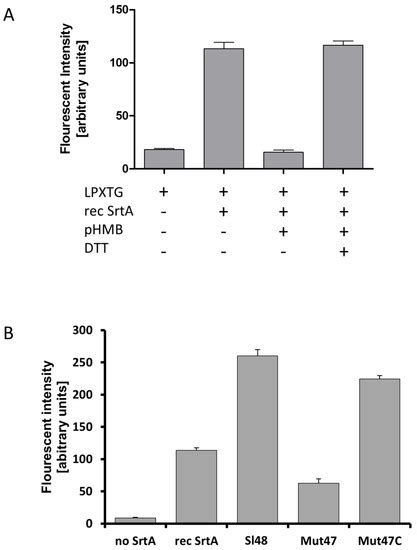 Microorganisms Special Issue Staphylococcal Infections Host And